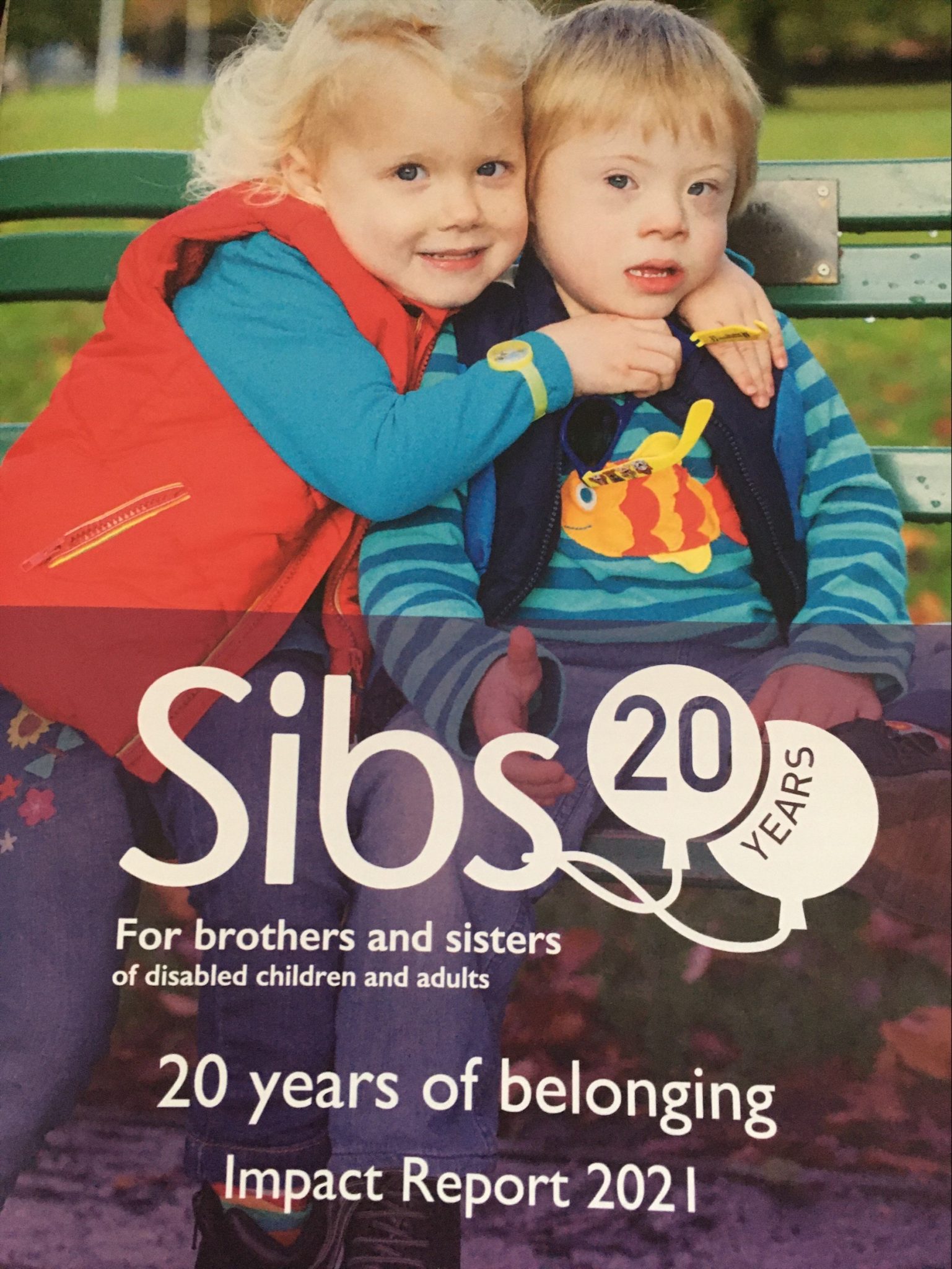 Annual report, accounts and policies - Sibs